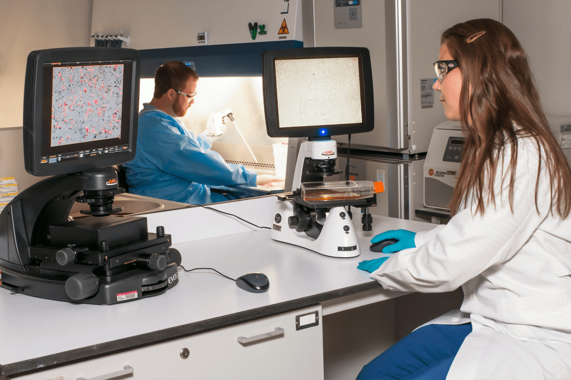 Biological Sciences (B.Sc.)